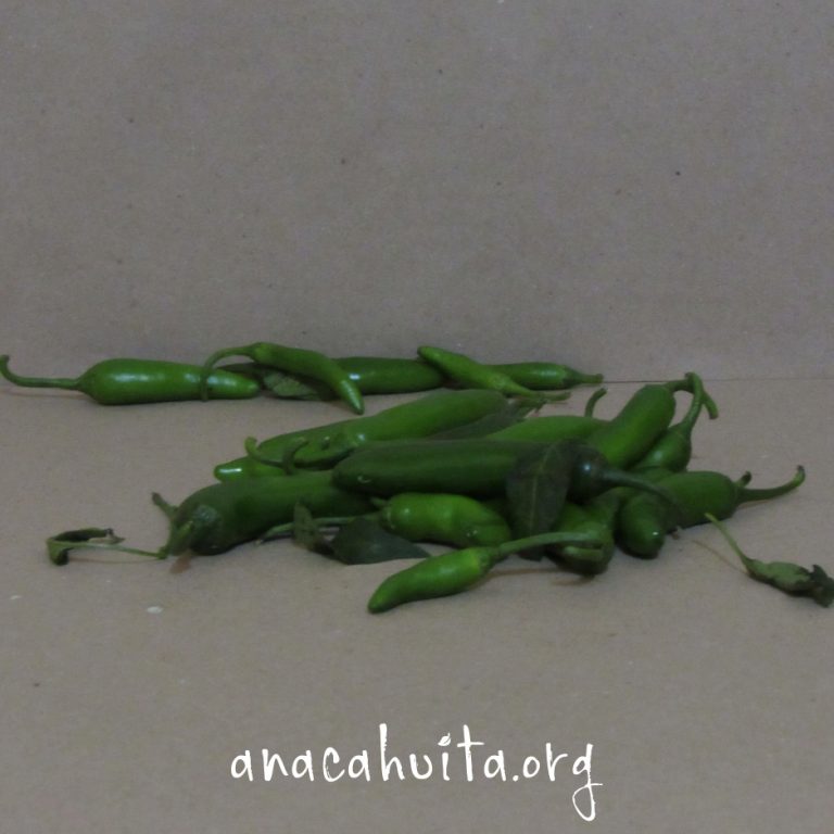 Hortalizas, Frutas y Verduras – Página 2 – Anacahuita Ecotienda Monterrey